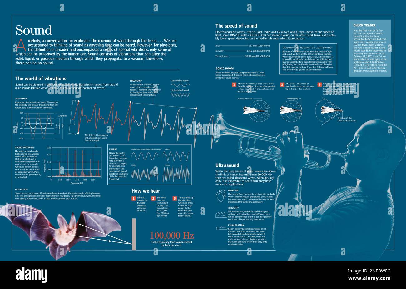 Infographic about sound, any phenomenon that involves spreading in the ...