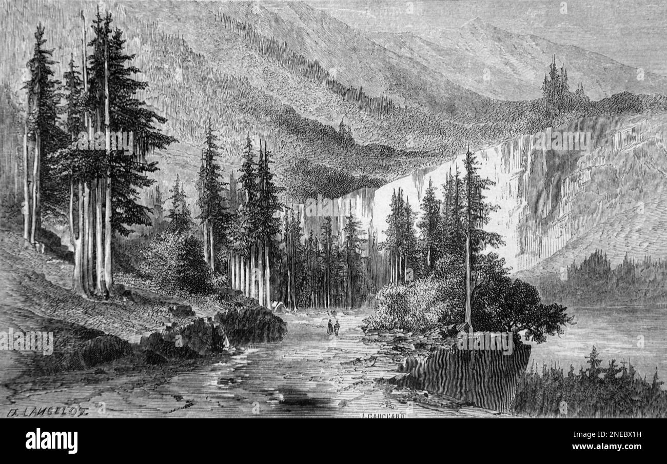 Landscape View of the Black Forest Mountain Range, National Park and ...