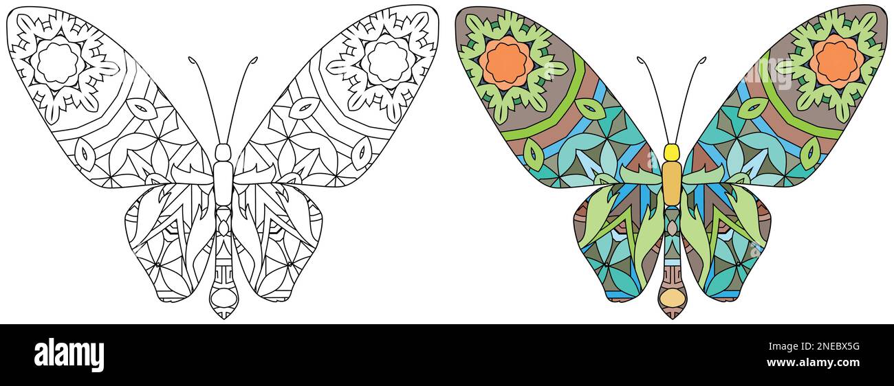 Butterfly zentangle styled with clean lines for coloring book for anti ...