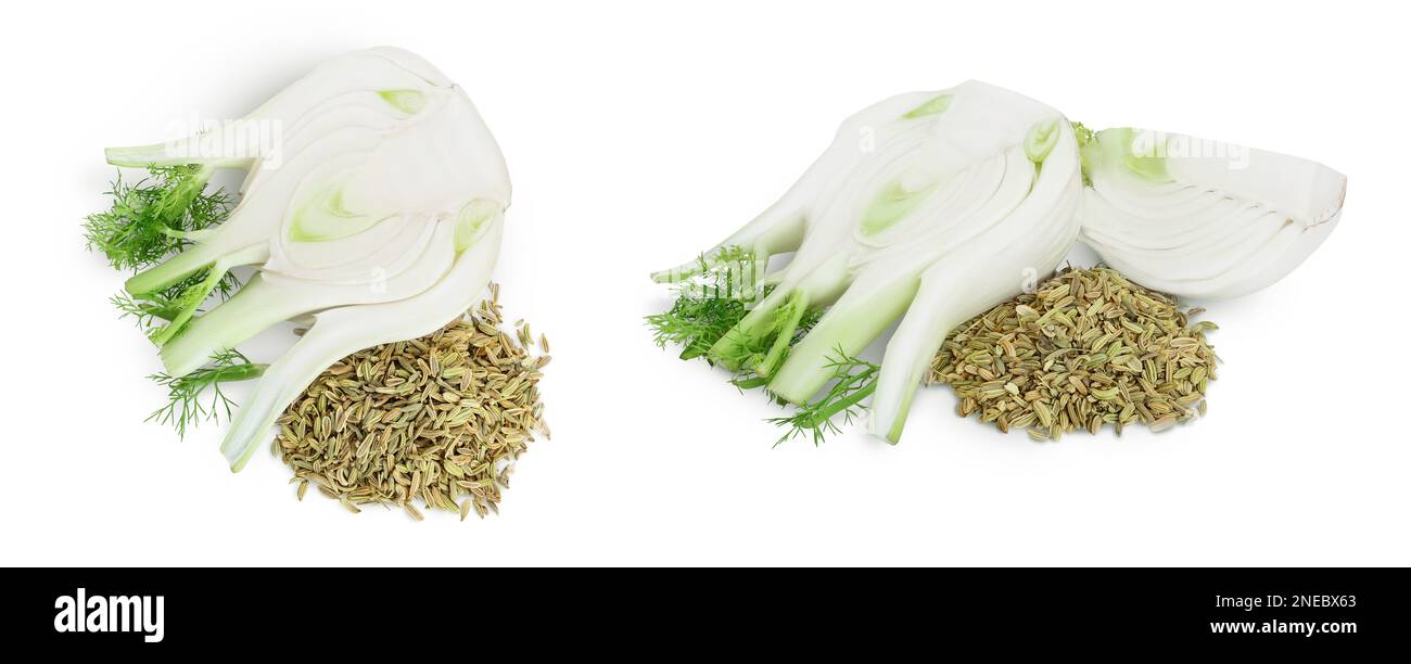 fresh fennel bulb with seed isolated on white background with full ...