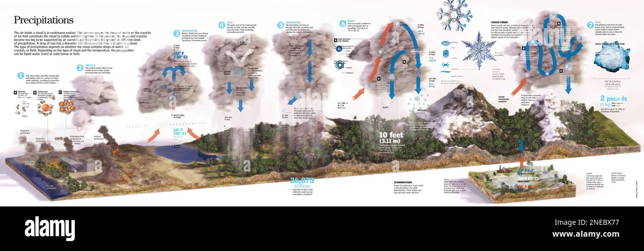 Infographics of the formation of clouds and of the different types of ...