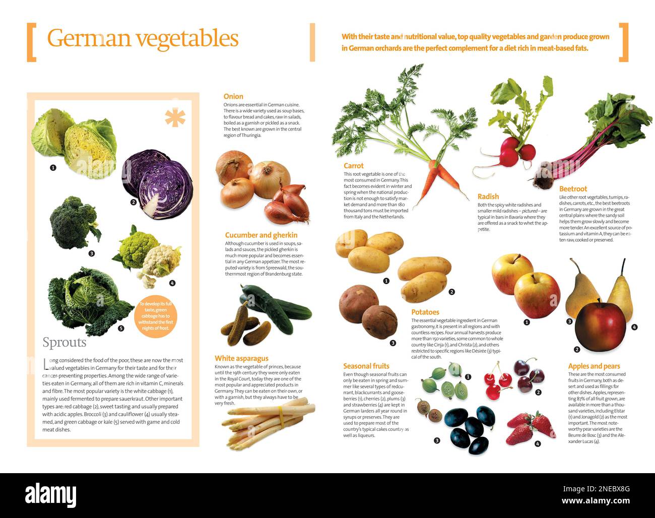 Infographicss about the varieties of vegetables and fruits eaten in ...