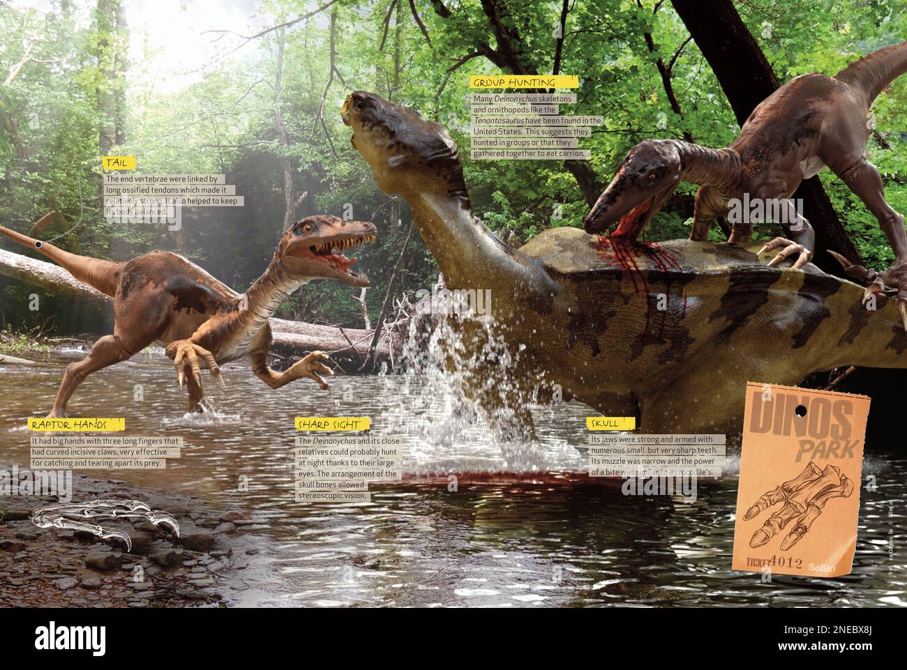 Infographics about some physical characteristics and behaviours of the ...