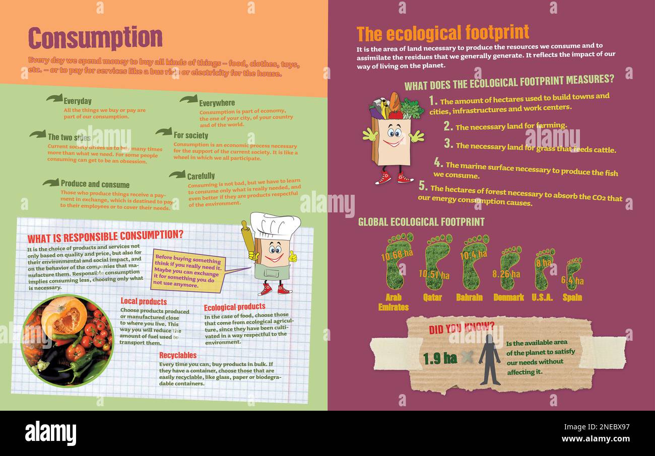 Infographic about responsible consumption and the ecological footprint ...