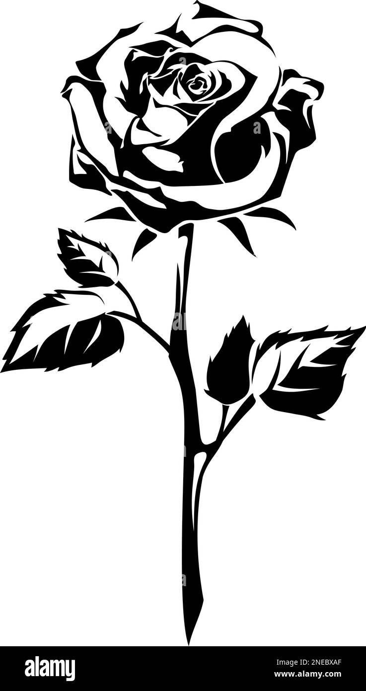Rose flower with a stem isolated on a white background. Vector black ...