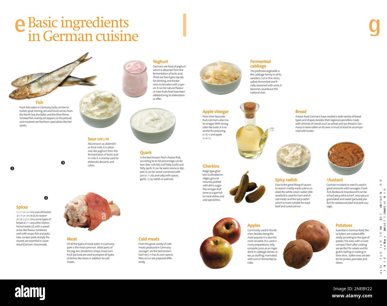 Meat dishes infographics hi-res stock photography and images - Alamy