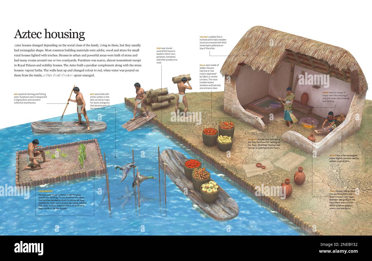 Aztec Daily Life