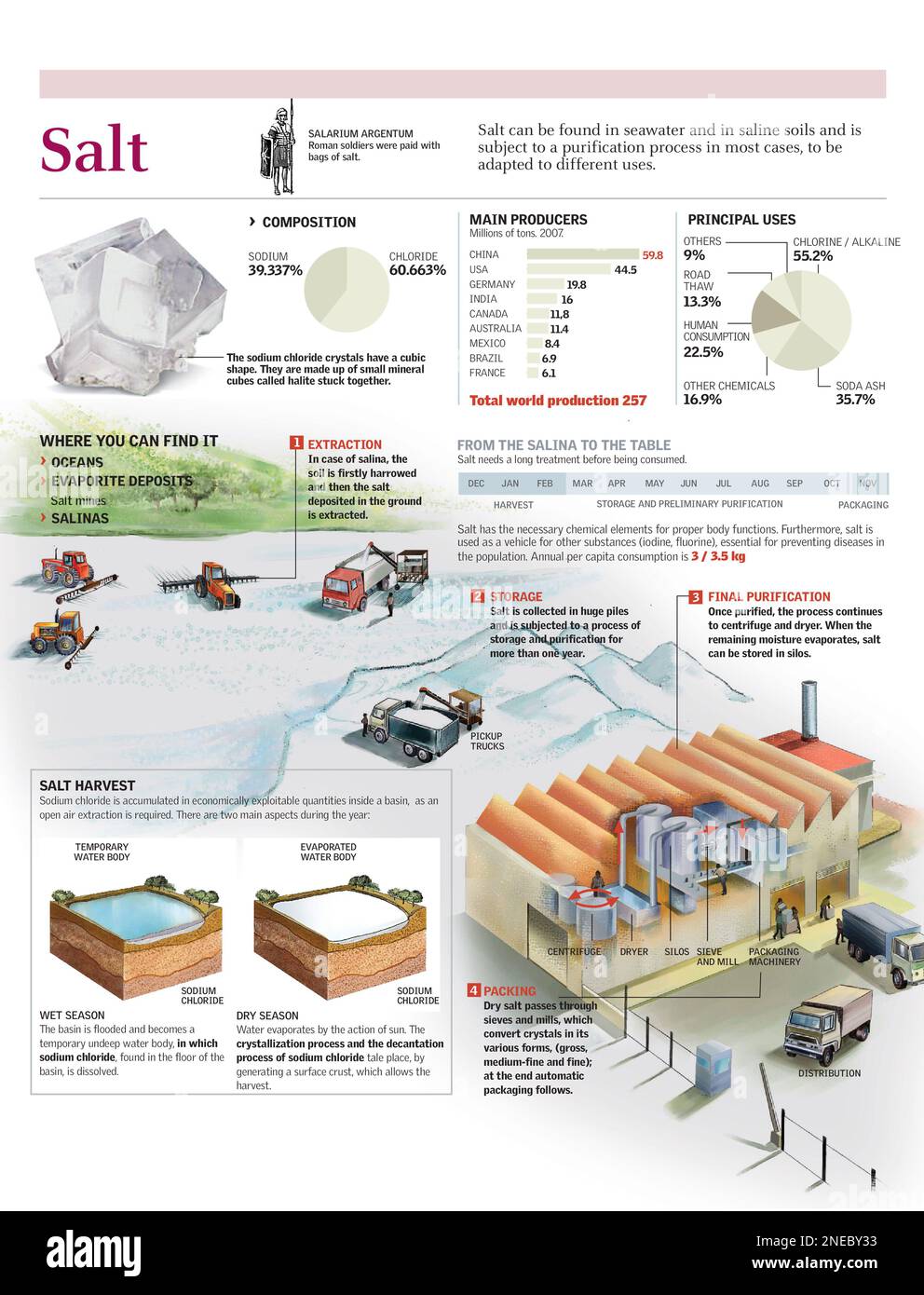 Infographics of the process of obtaining salt from a salina and its ...