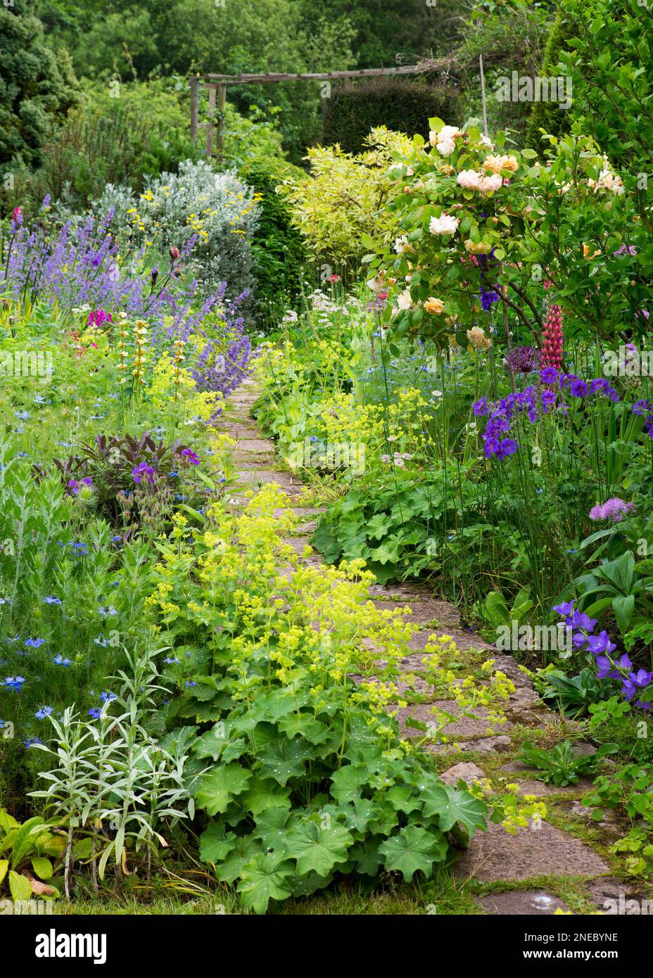 Pathway through Cottage Garden with mixed borders Stock Photo - Alamy