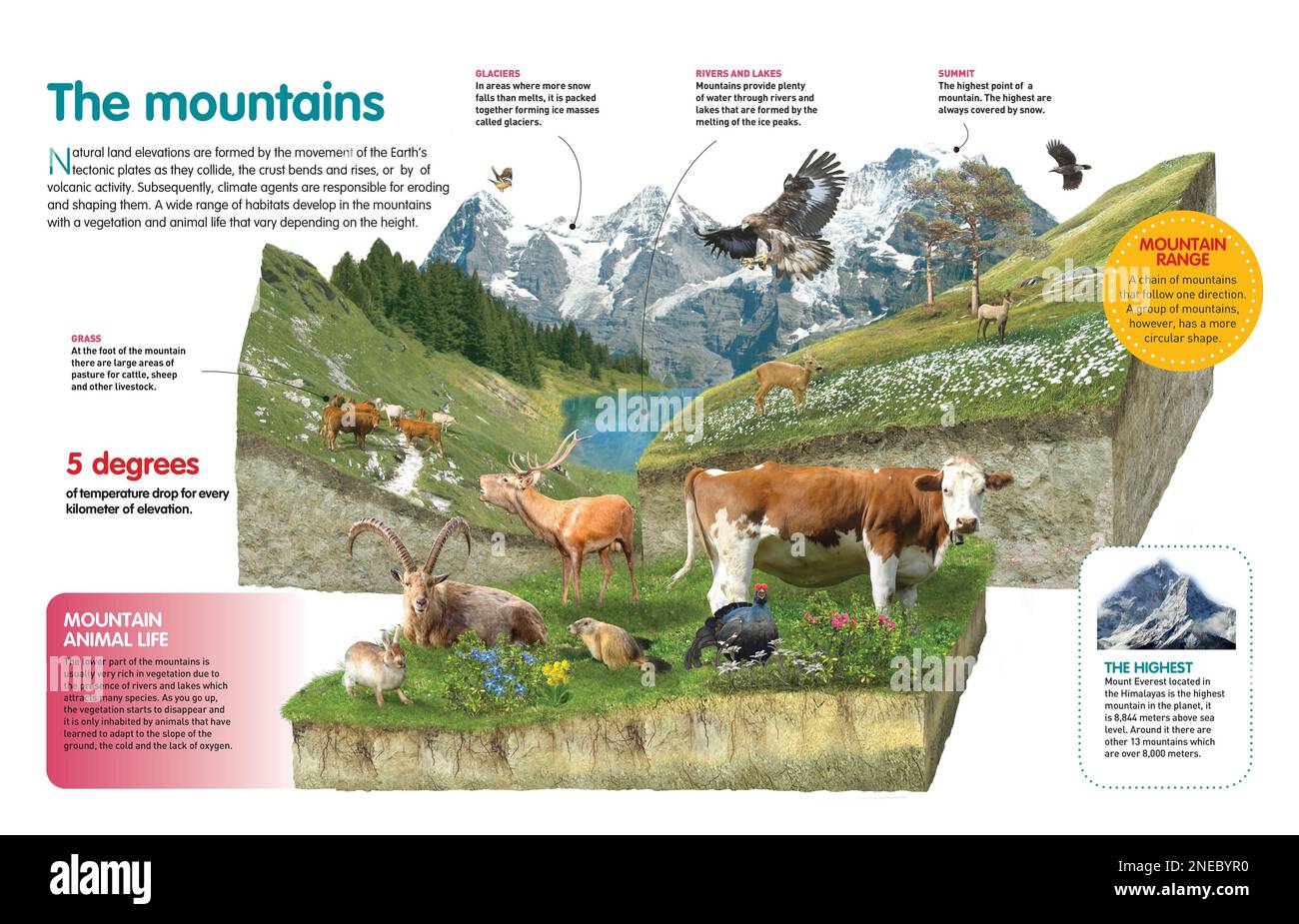 Glaciers vegetation Cut Out Stock Images & Pictures - Alamy