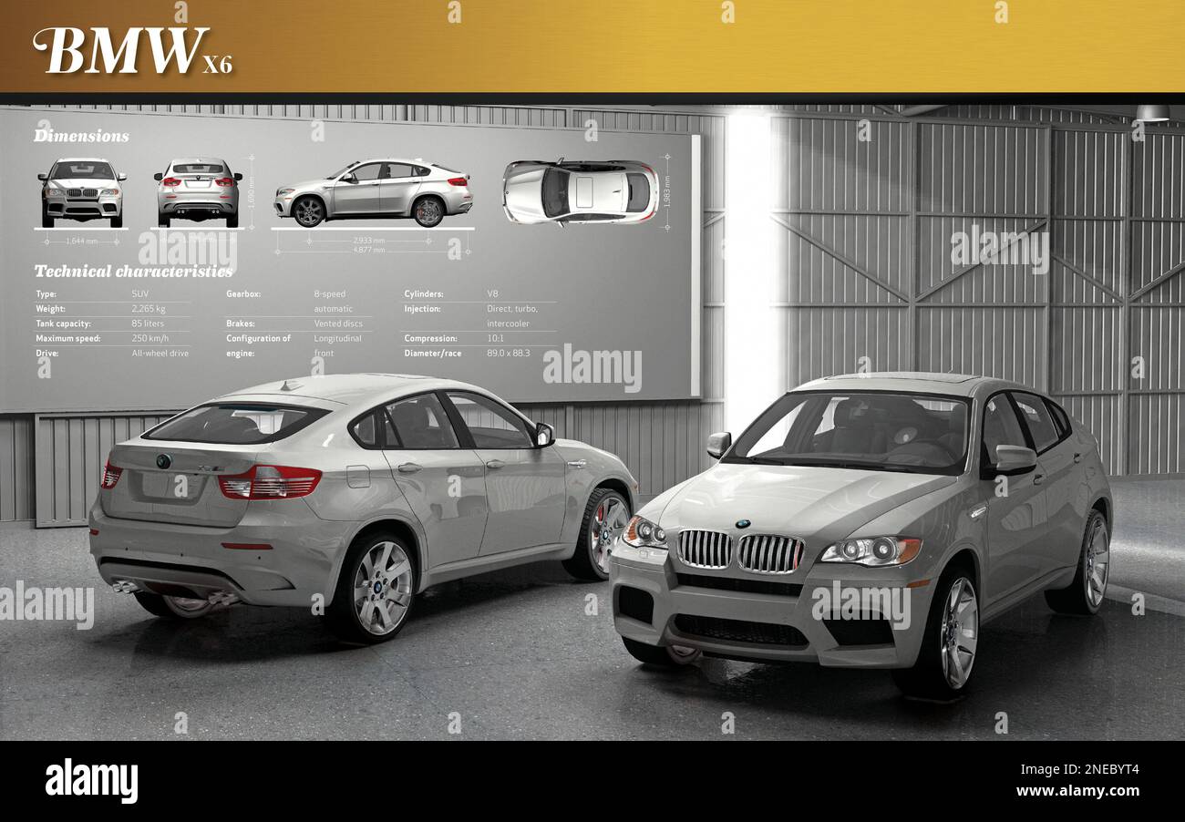 Infographic about the technical characteristics of Luxury SUV BMW X6 ...