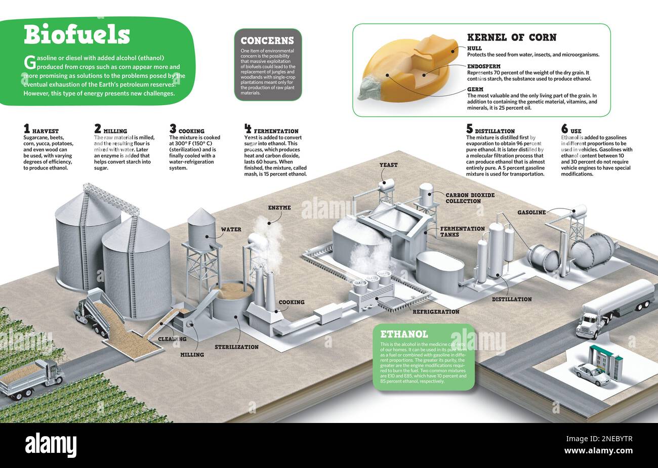 Infographic on biofuels, ie fuels of biological origin derived from ...