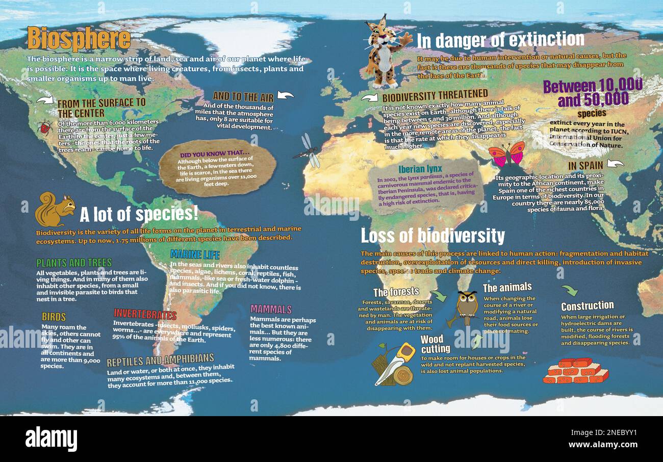 Infographic about the biosphere and the biodiversity of species in ...