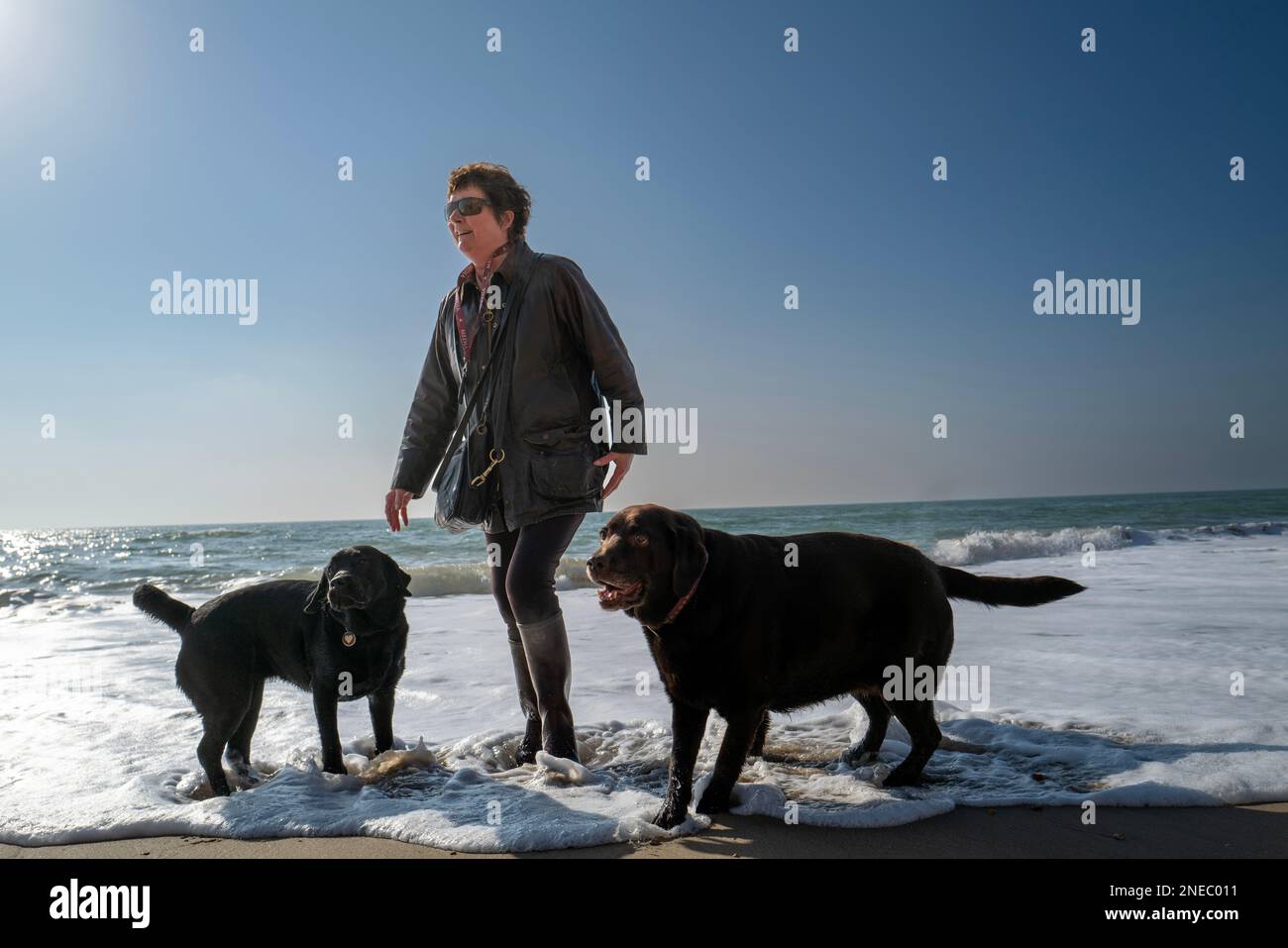 Women walking on a beach with a dog hi-res stock photography and images ...