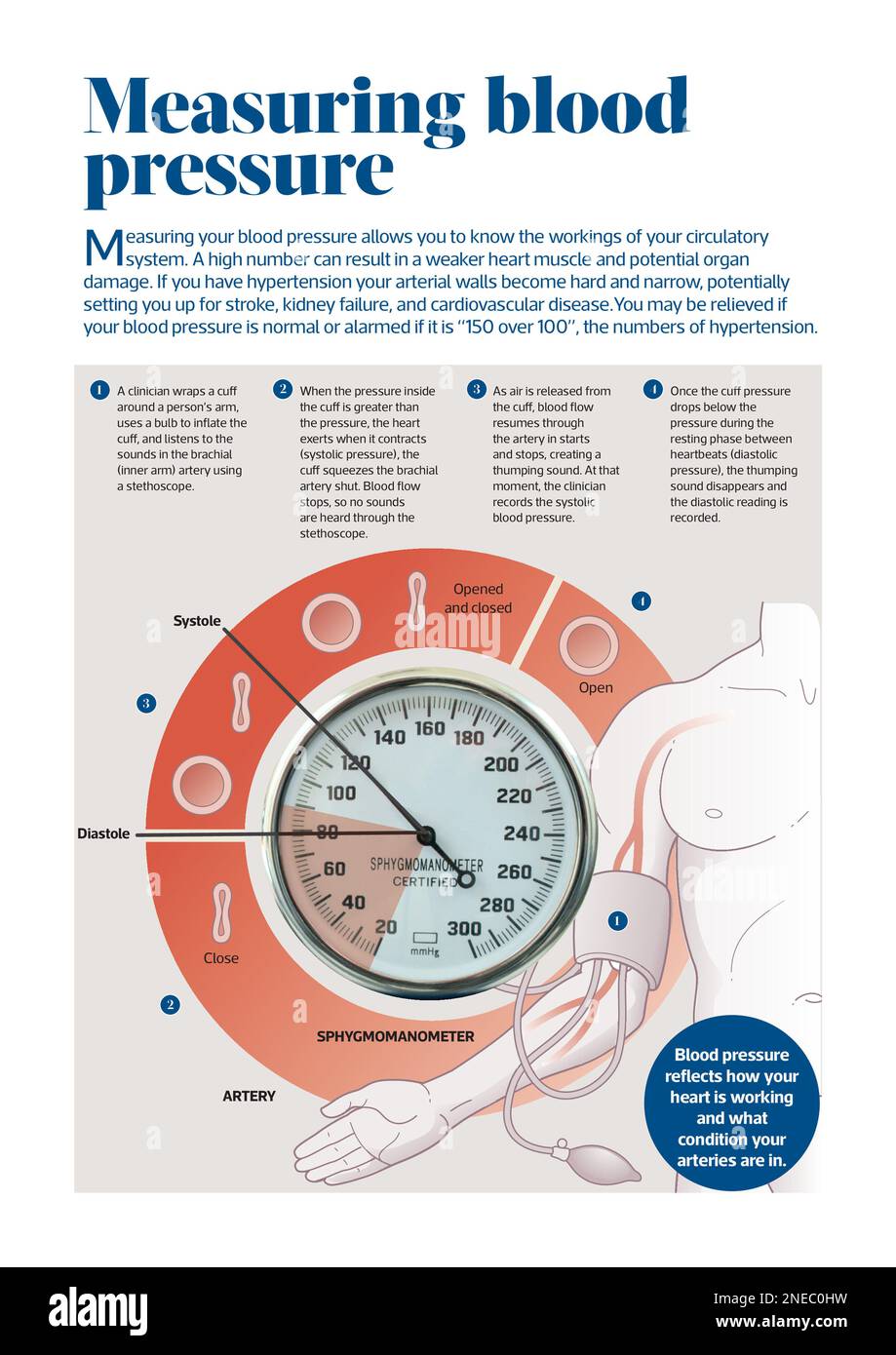Infographic about blood pressure and its measuring with the ...