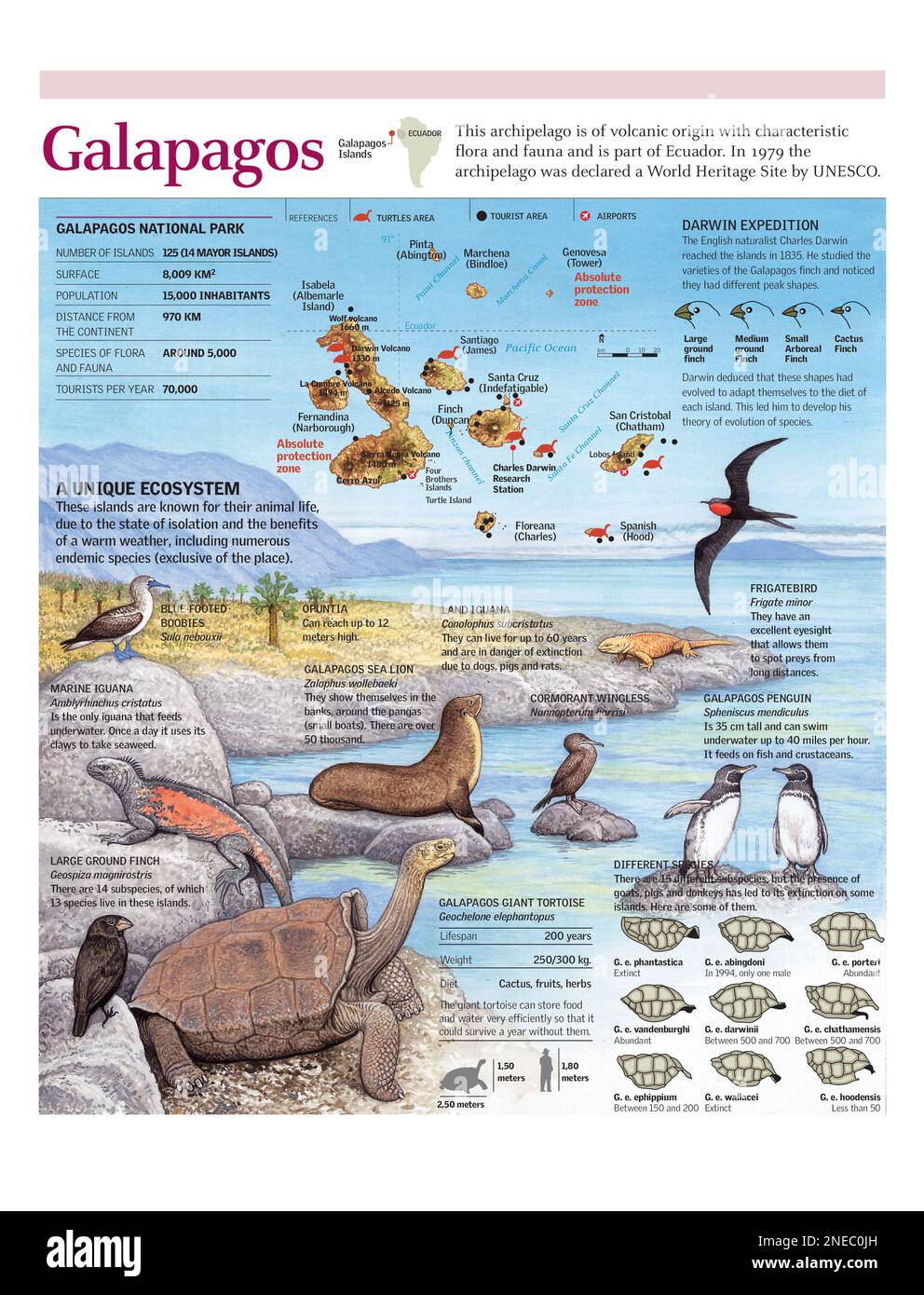 Infographics of Galapagos Islands geography and ecosystem. [Adobe ...