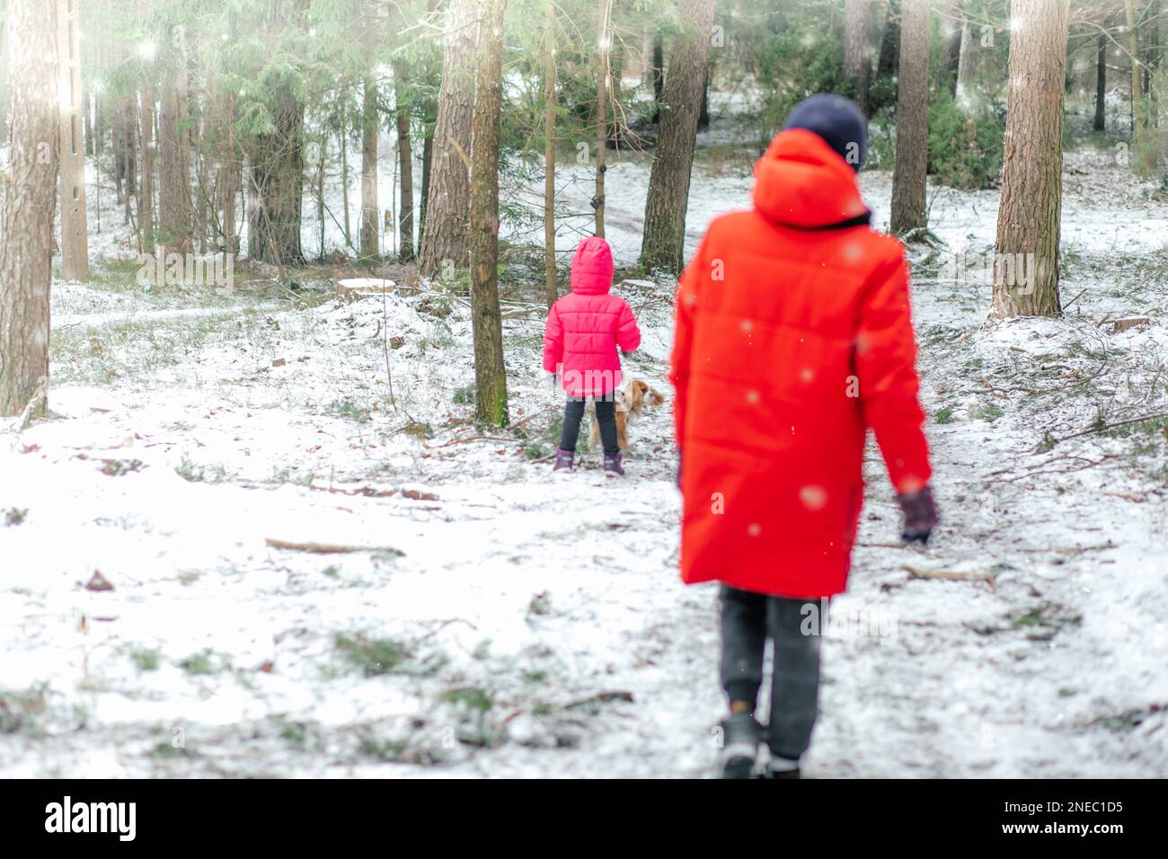 Back view of teenage boy and little girl in warm clothes, standing ...