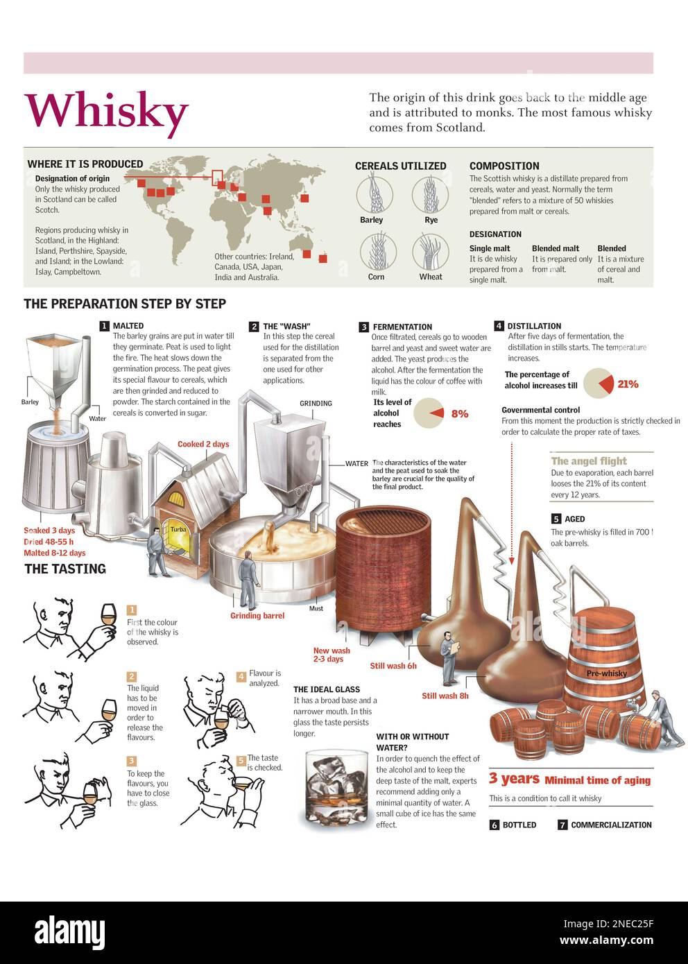 Infographics of the composition and process of whiskey and tasting. [Adobe Illustrator (.ai ...