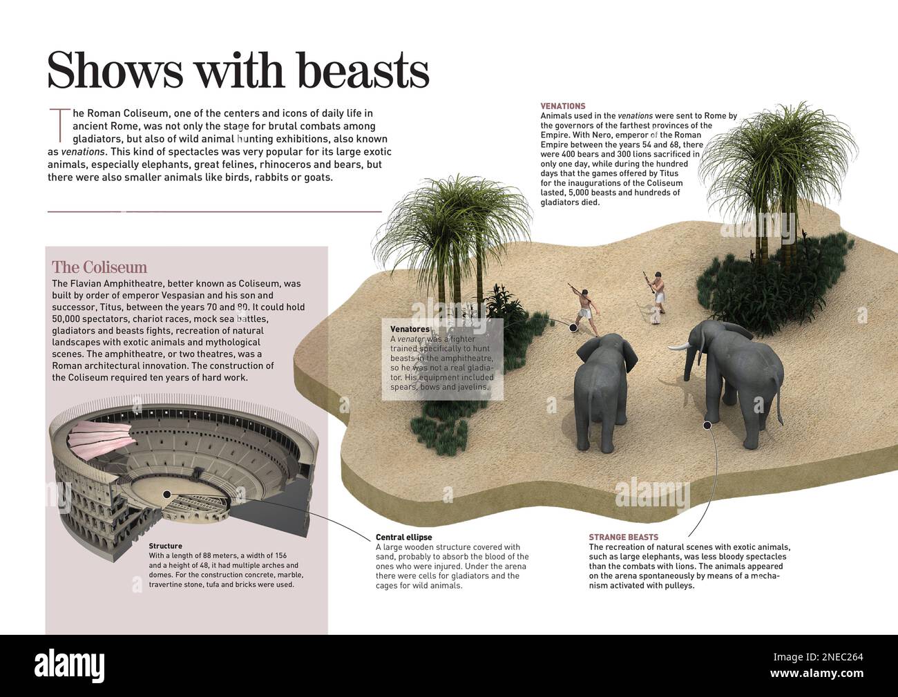 Infographic that represents how the Venations used to be -hunting of ...