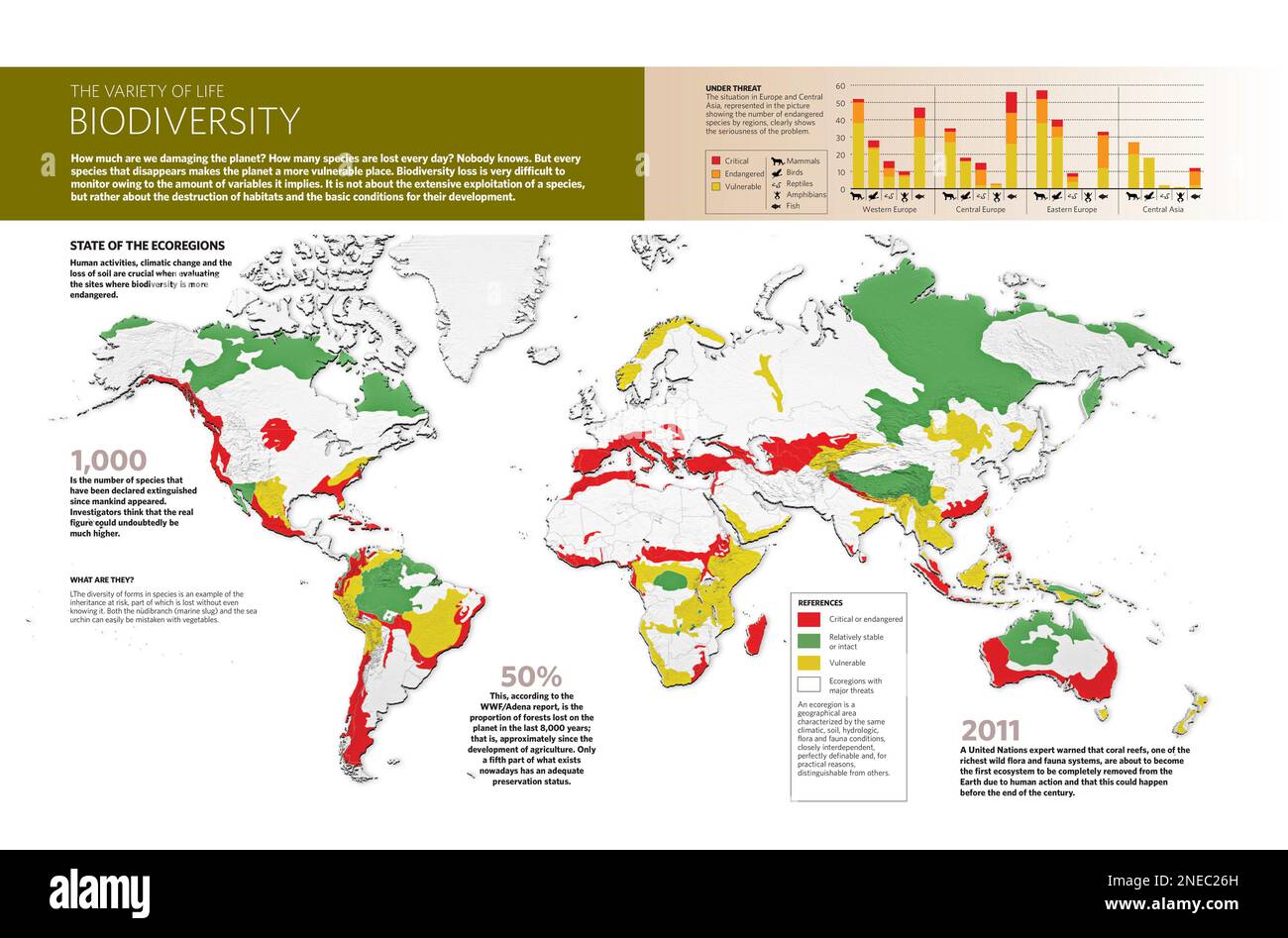 Computer graphics that analyses different ecoregions of the planet ...