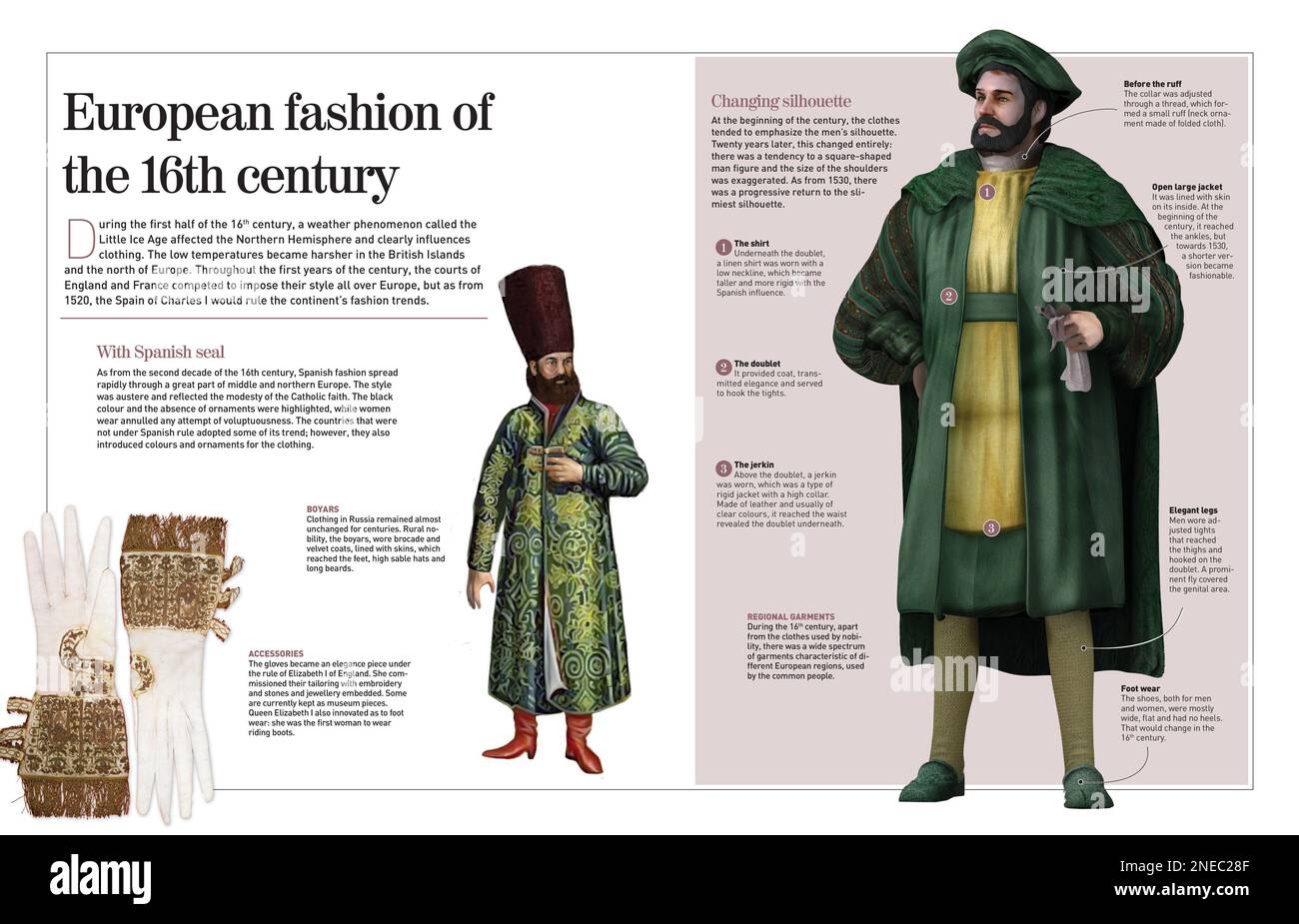 Infographic about typical European clothing in the 16th century. [Adobe ...