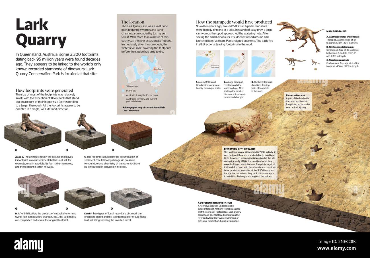 Coelosaurus hi-res stock photography and images - Alamy
