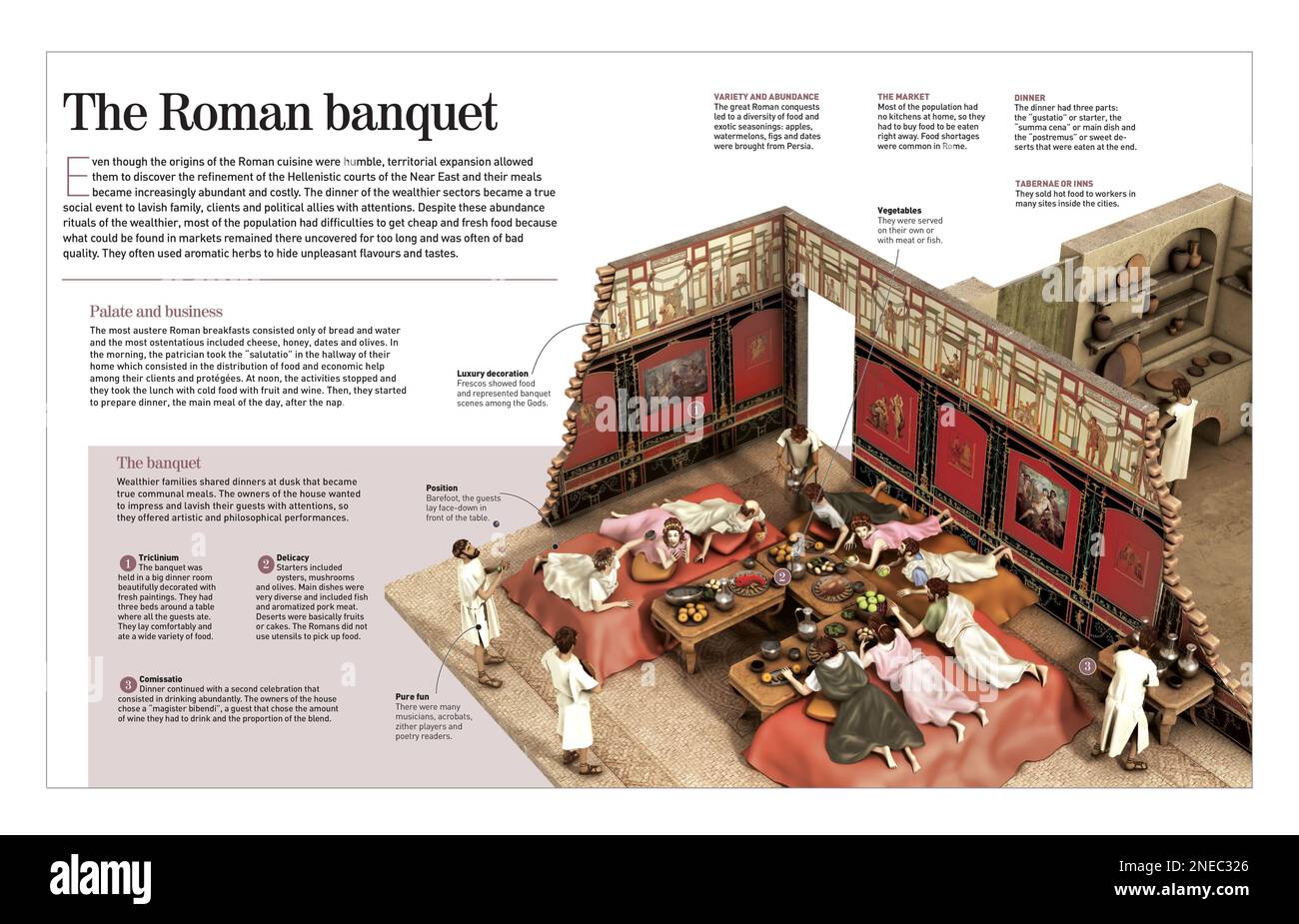 Infographic about the dietary habits and banquets in Ancient Rome (1st ...