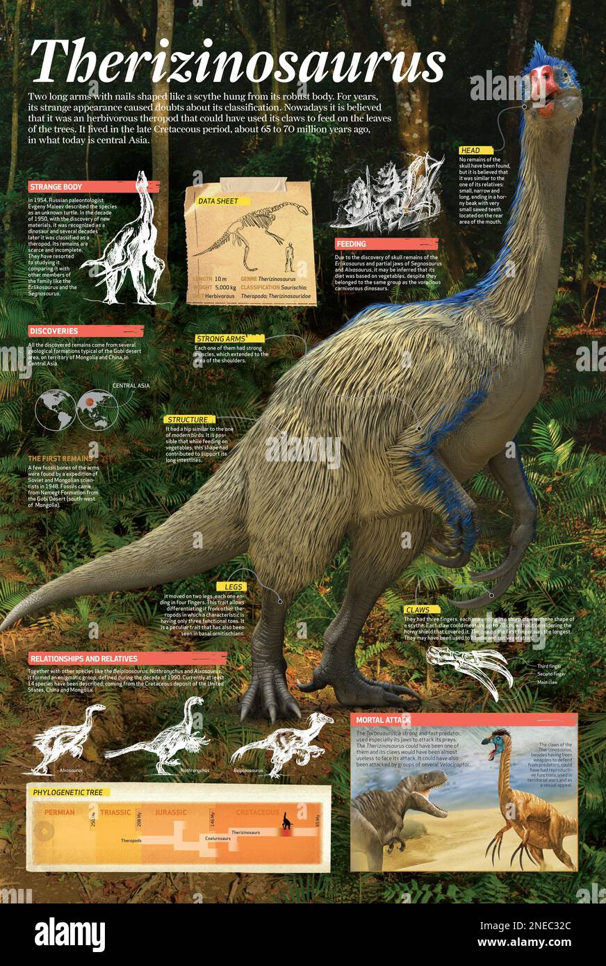 Infographic about the Therizinosaurus, a theropod dinosaur that ...
