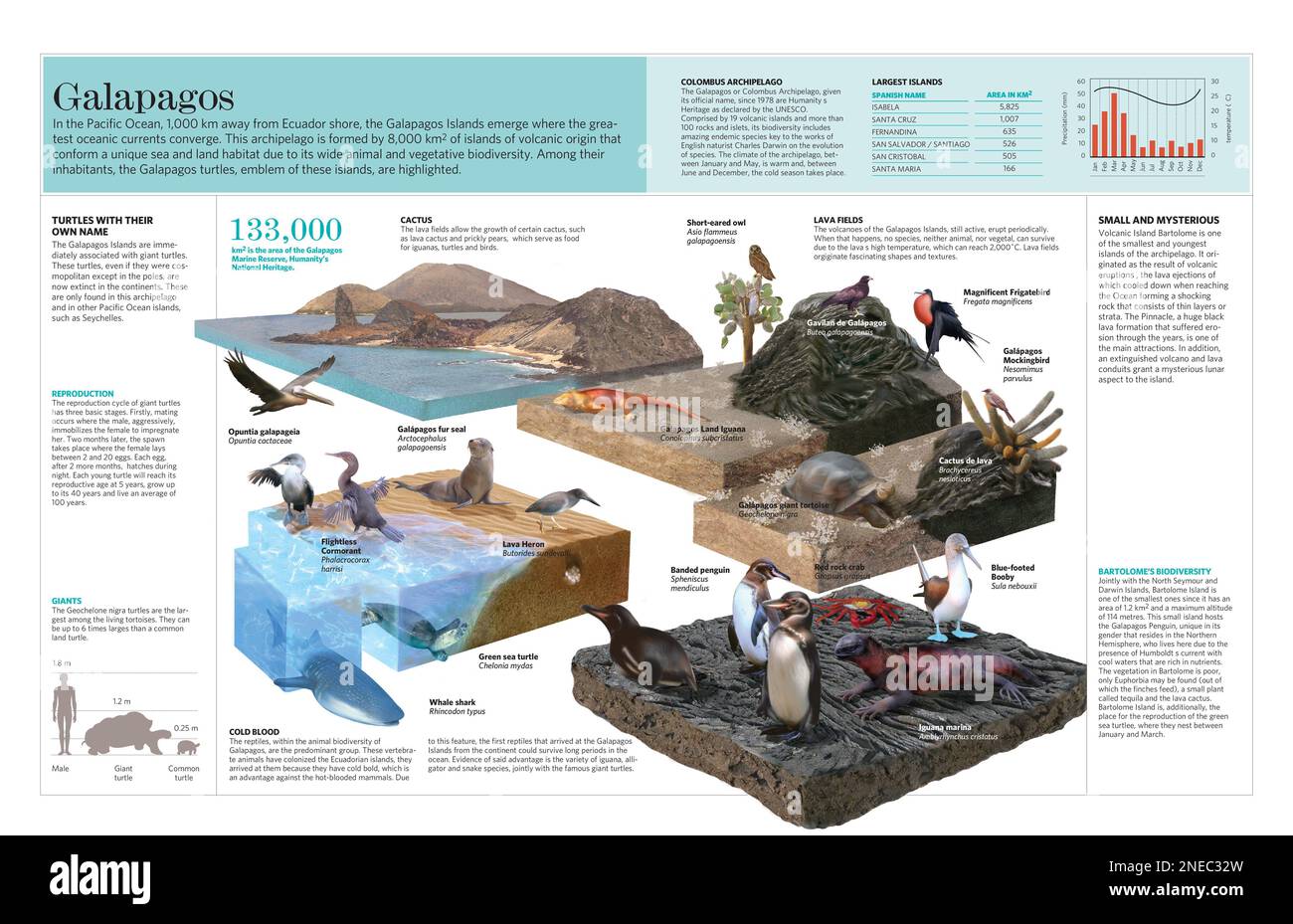Infographic of the aquatic and terrestrial fauna of the Galápagos ...