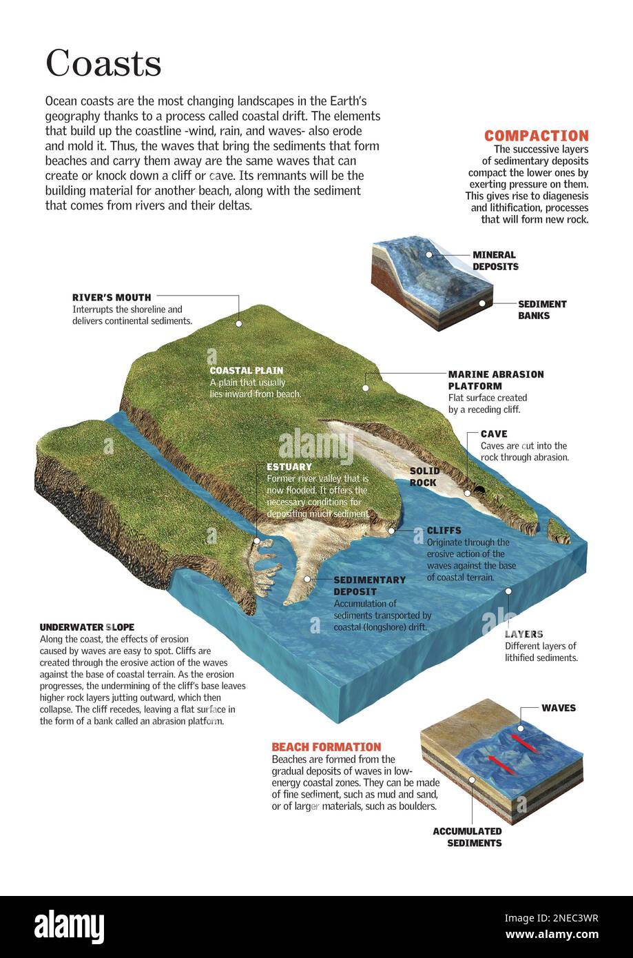 Infographic about the morphology of the oceanic coast. [Adobe InDesign ...