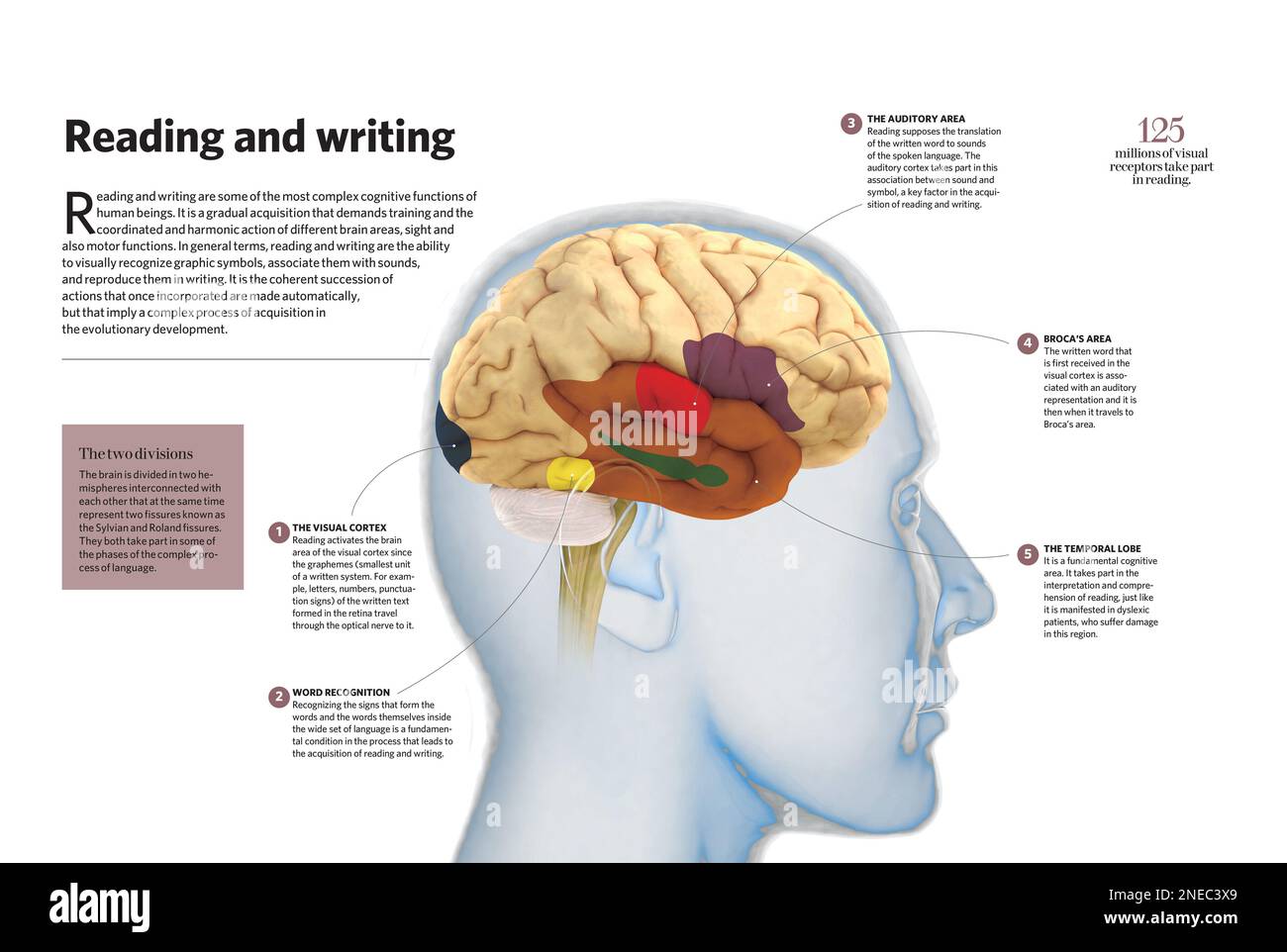 Infographic about literacy, the ability to read and write, one of the ... Infographic about literacy, the ability to read and write, one of the ...