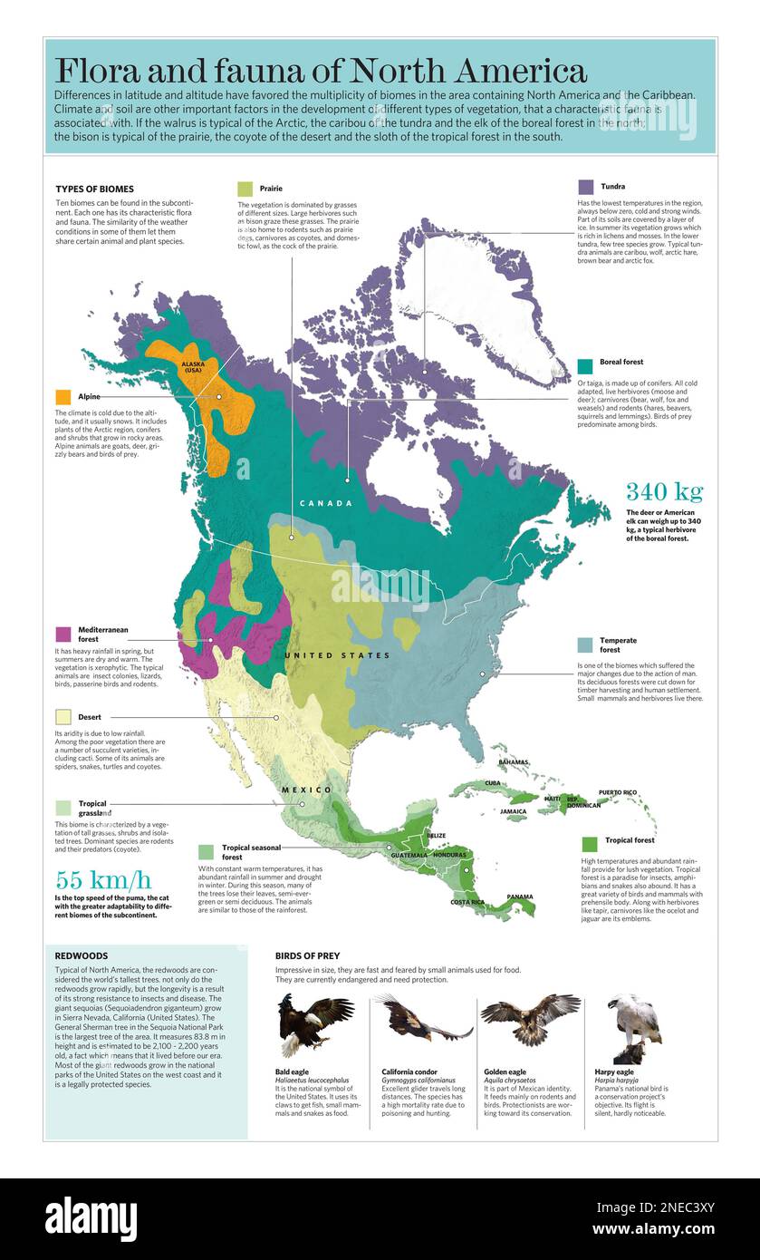 American biomes Cut Out Stock Images & Pictures - Alamy