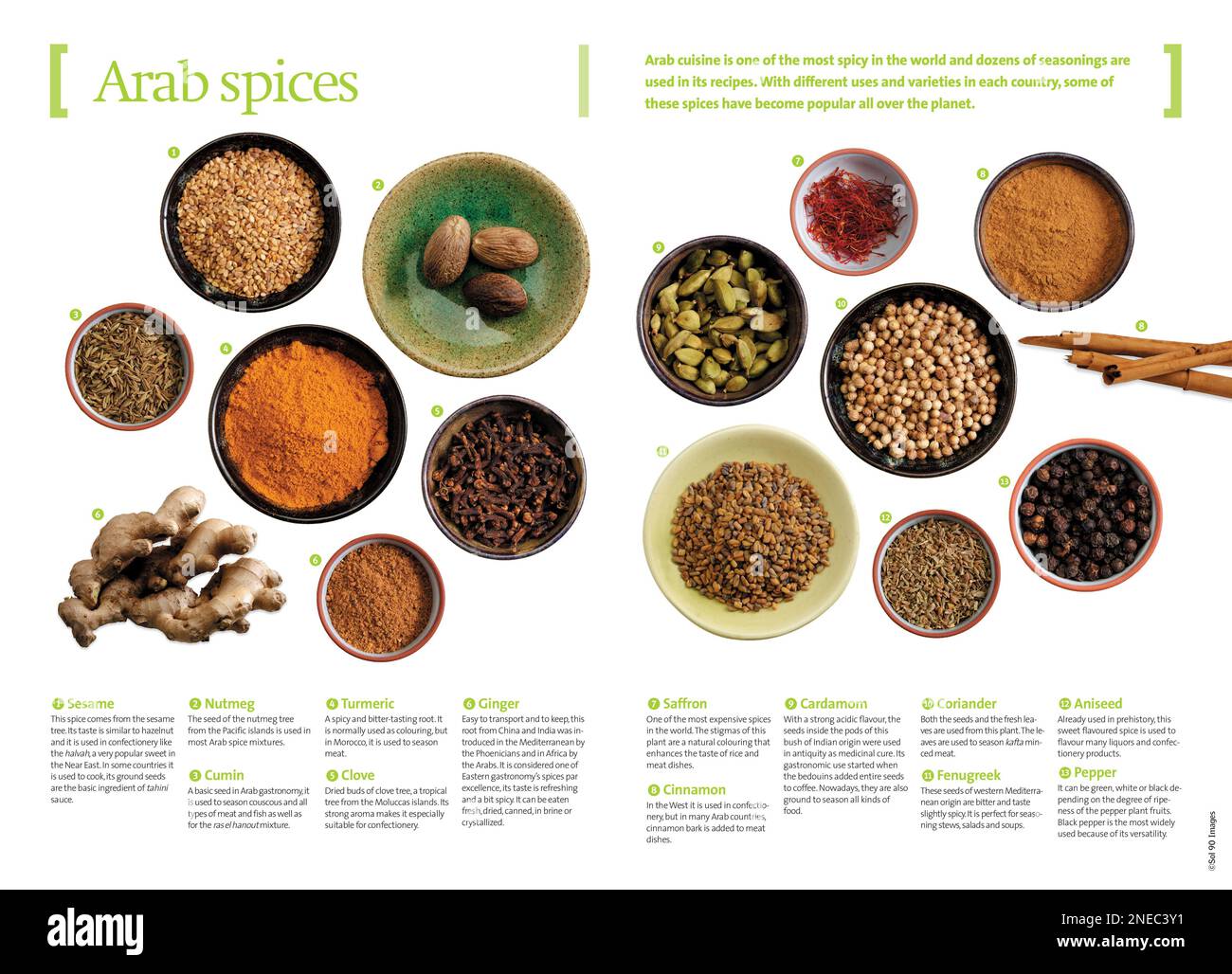 Infographics about the wide variety of spices used in Arab cuisine ...