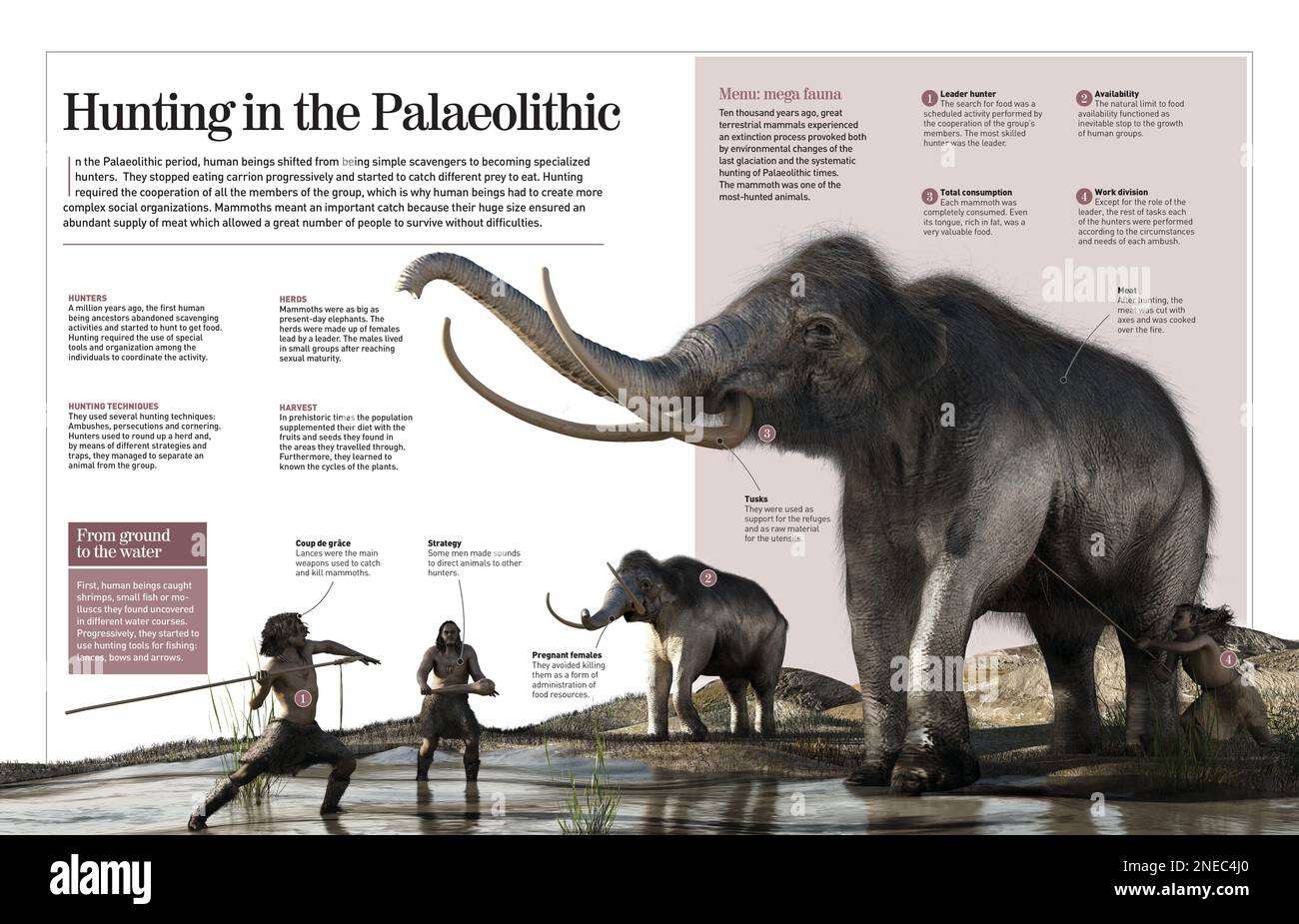 Infographic about diet change in the Palaeolithic when human beings ...