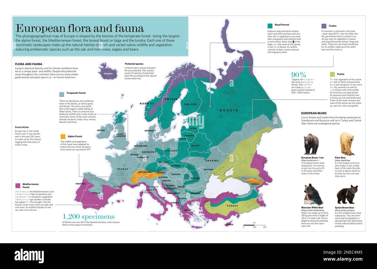 Infographic about biomes and ecosystems of flora and of fauna of Europe ...