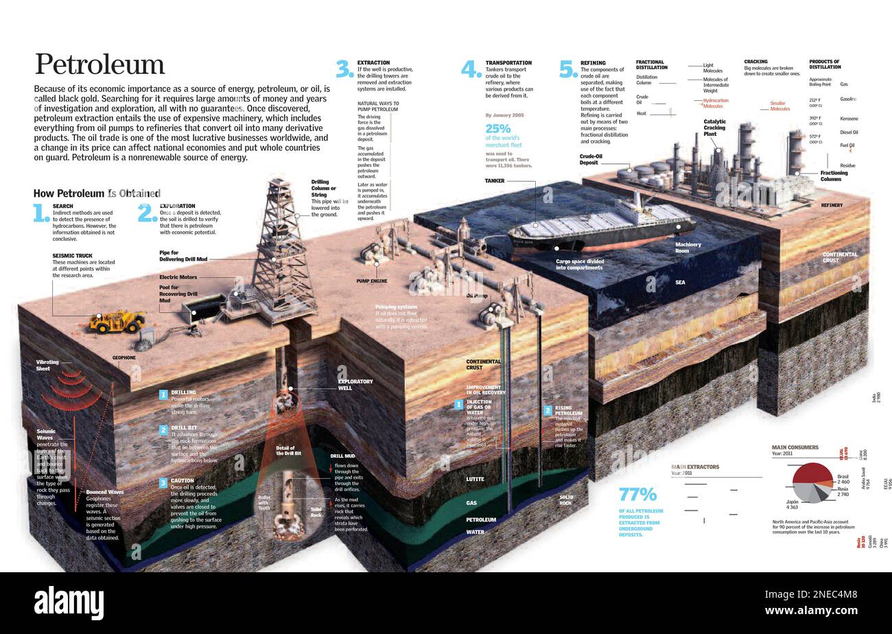 Infographic of the processes of search, exploration, extraction ...