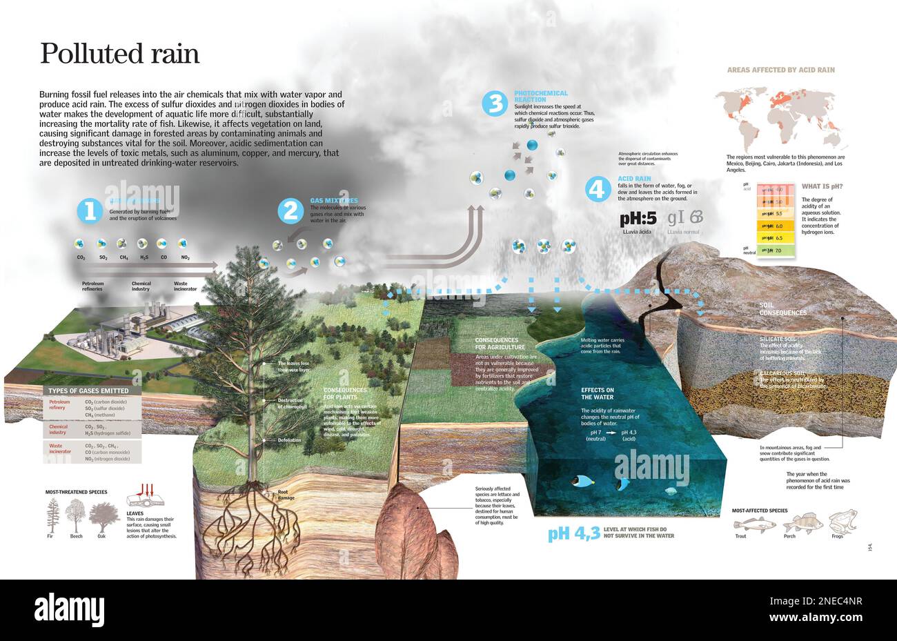 Infographics of the diverse factors that produce the acid rain and ...