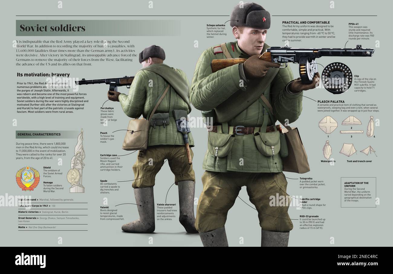 Infographic about the Red Army, which played a key role during the ...