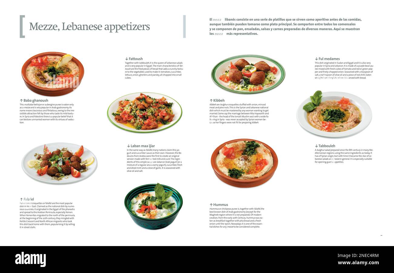 Infographics about the different Lebanese appetizers that make up mezze ...