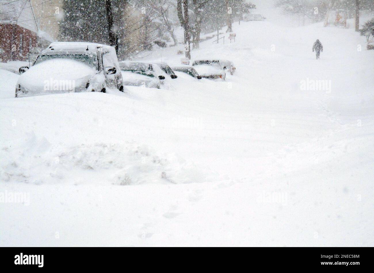 A lone pedestrian treads through drifting snow on Linden Avenue in ...