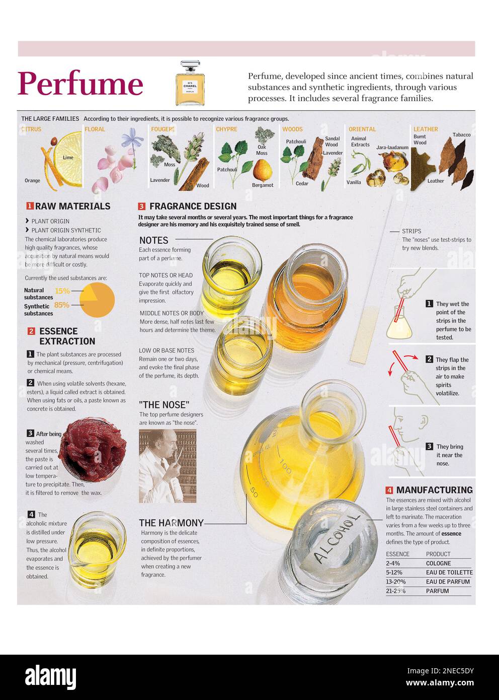 Infographics the process of creating a perfume: composition, extraction ... Infographics the process of creating a perfume: composition, extraction ...