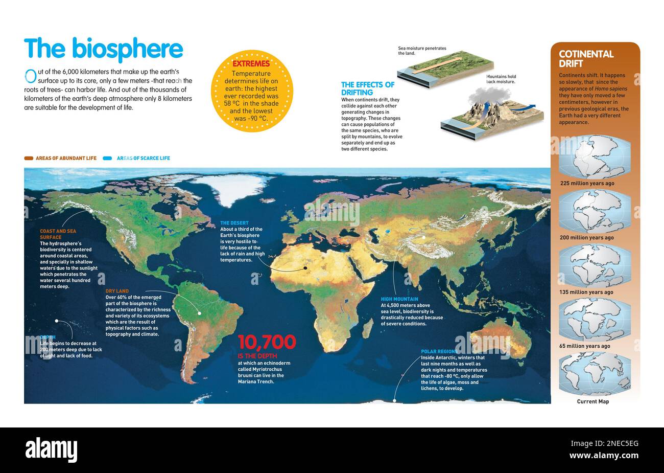Infographic about the biosphere and the elements that have a bearing on ...