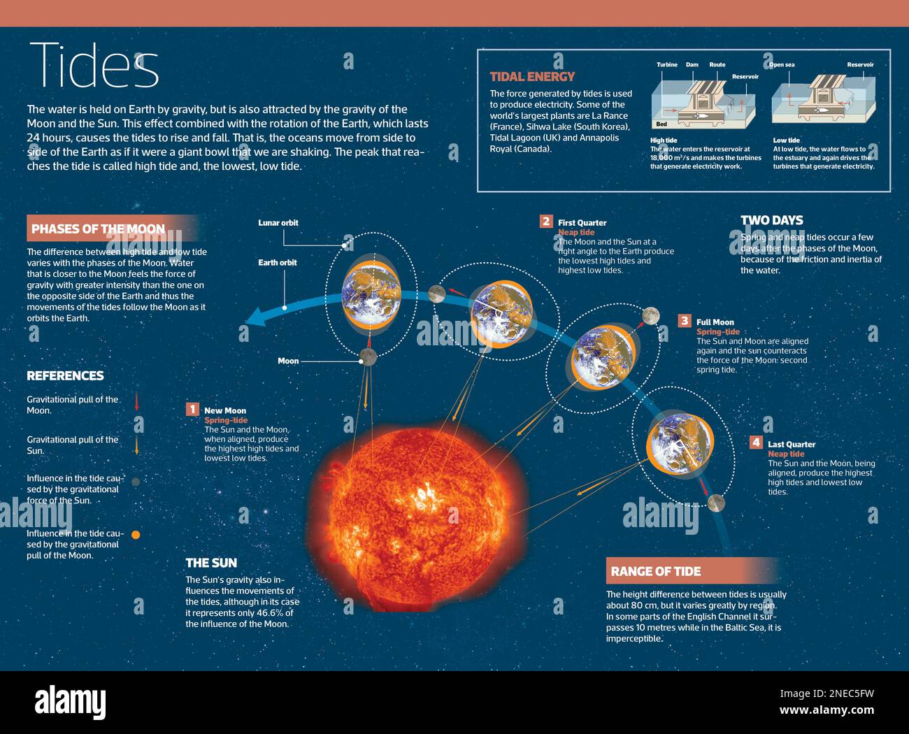 Infographic on tides, i.e. the periodic and alternative rise and fall ...