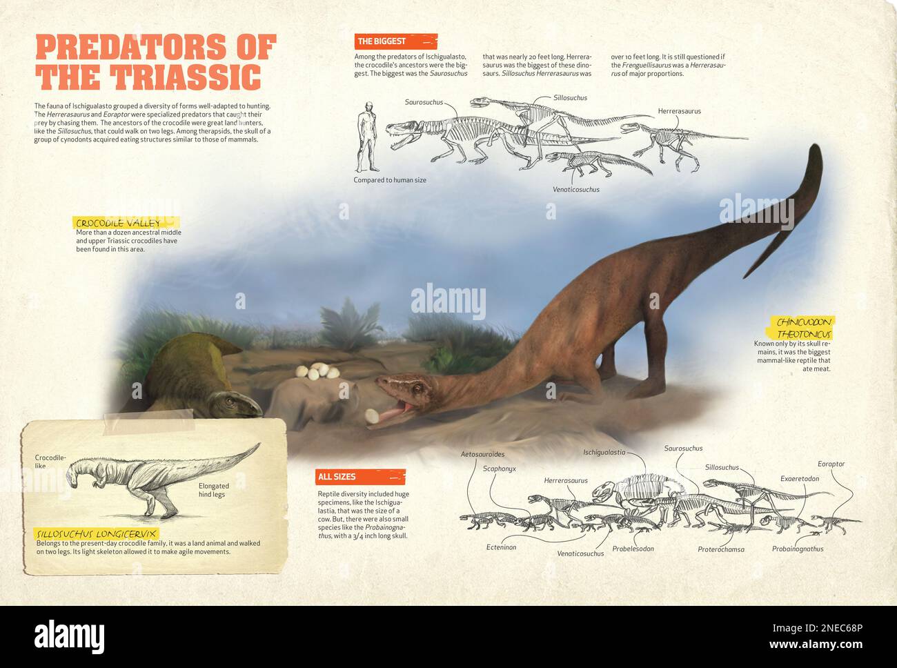 Infographic Definition Iconoclastic Movement
