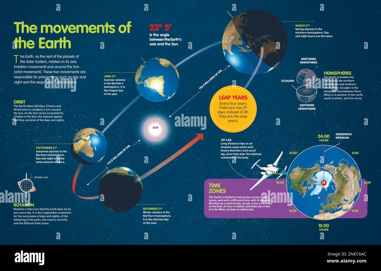 Infographic that describes the rotation and translation movements of ...