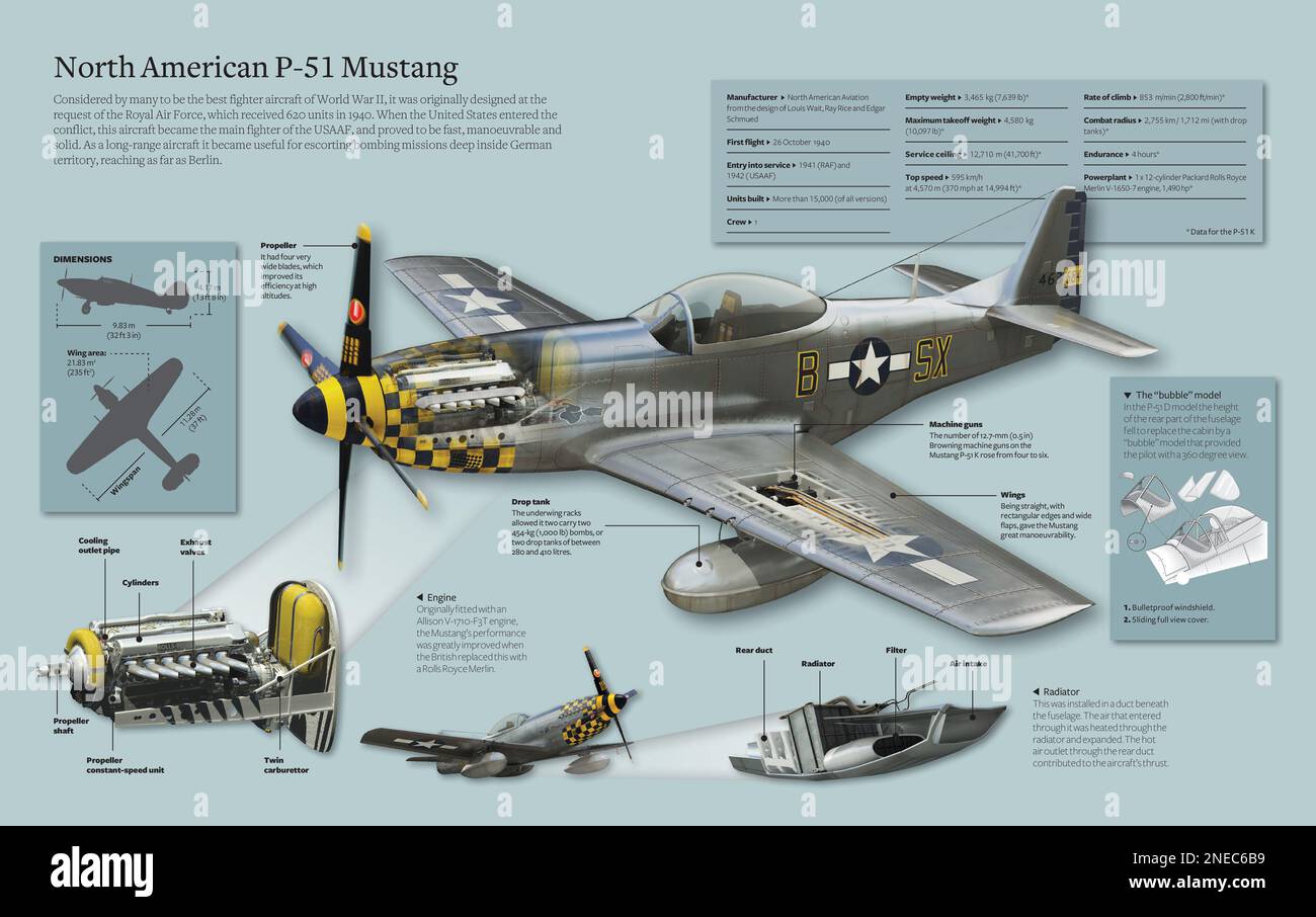 Infographic of the North American P-51 Mustang, considered by many as ...