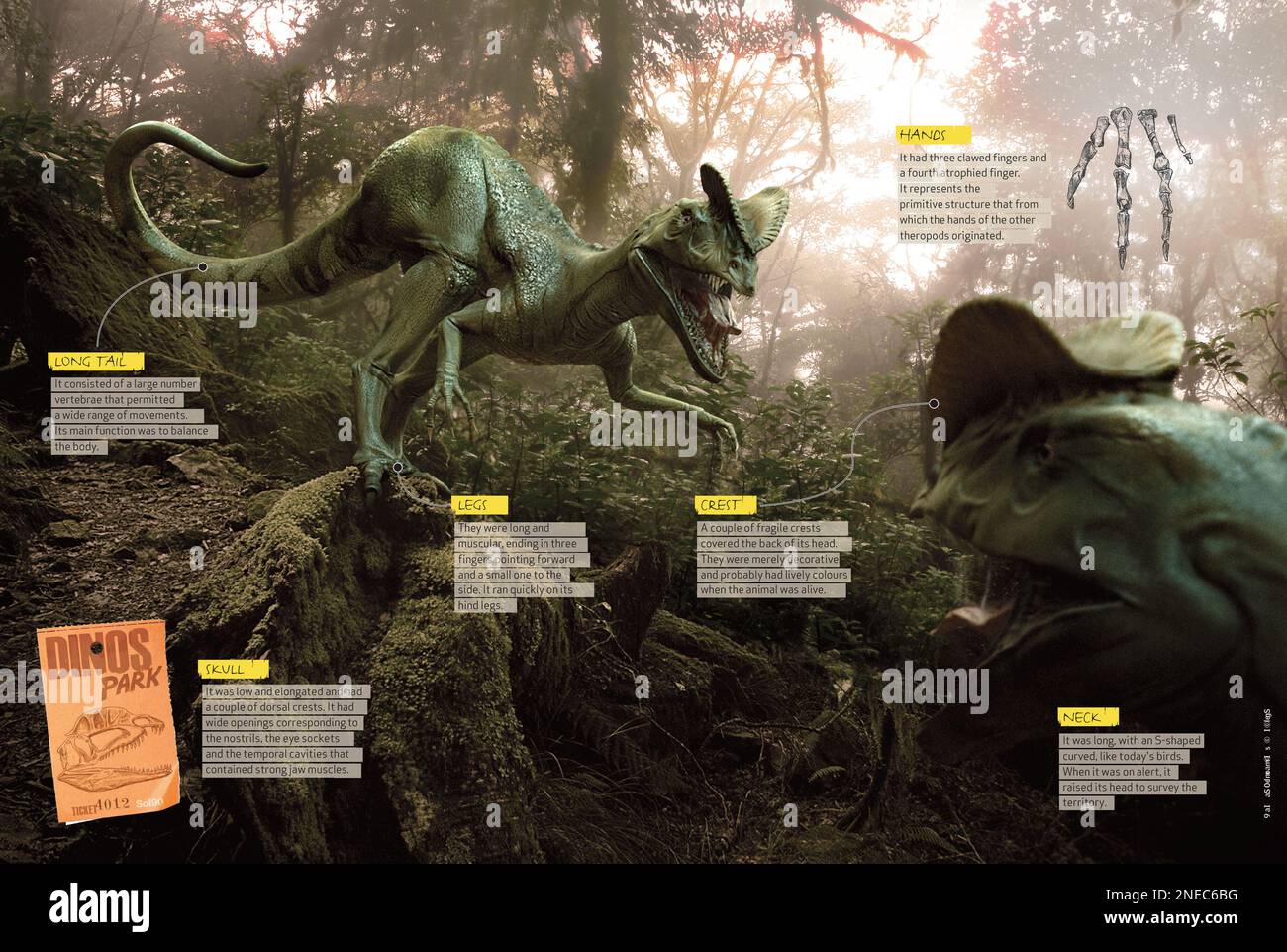 Infographics that describe the main physical features of the ...