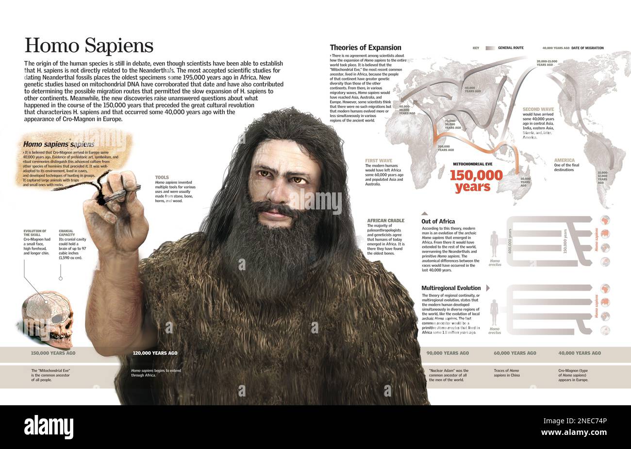 Infographic of the Homo sapiens sapiens and its expansion across the world. [QuarkXPress (.qxp ...