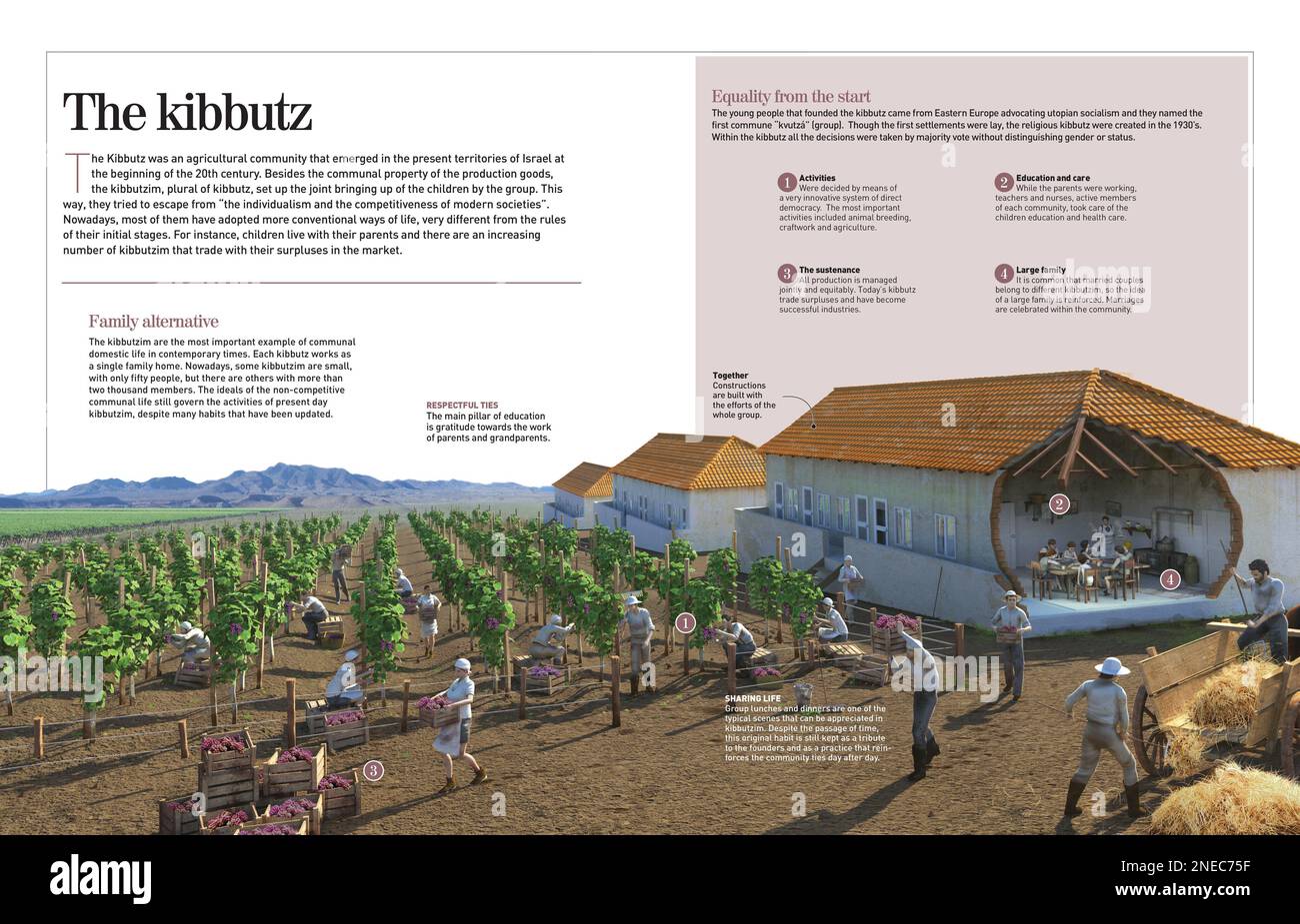 Infographic about the kibbutz (kibbutzim in plural), agricultural ...
