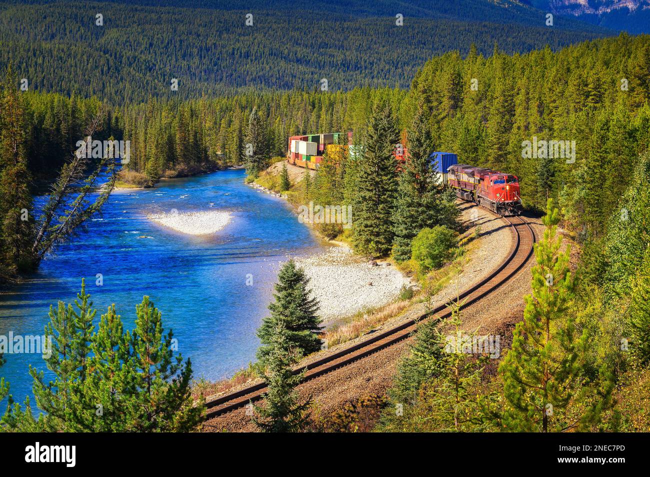 Train passing through Morant's Curve in bow valley, Canada Stock Photo - Alamy